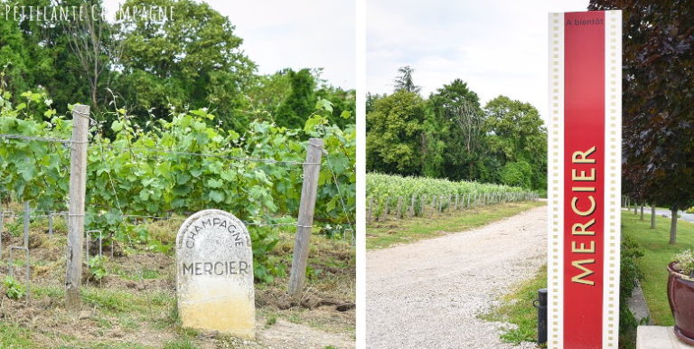 Visite des Caves Mercier - Pétillante Champagne