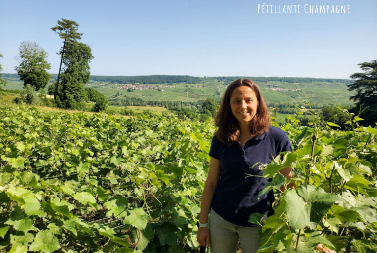 Champagne Le Gallais - Pétillante Champagne